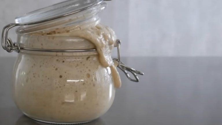 Herman Sourdough Starter Recipe | Recipes.net