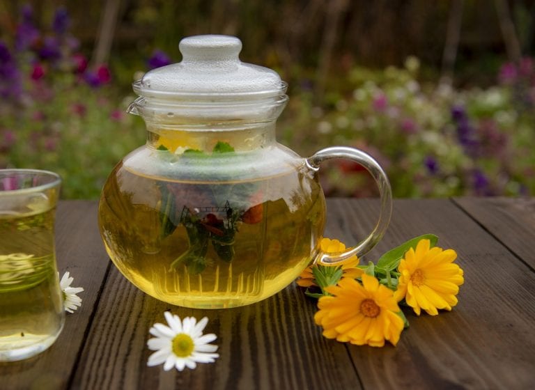 Horehound Tea Recipe - Recipes.net