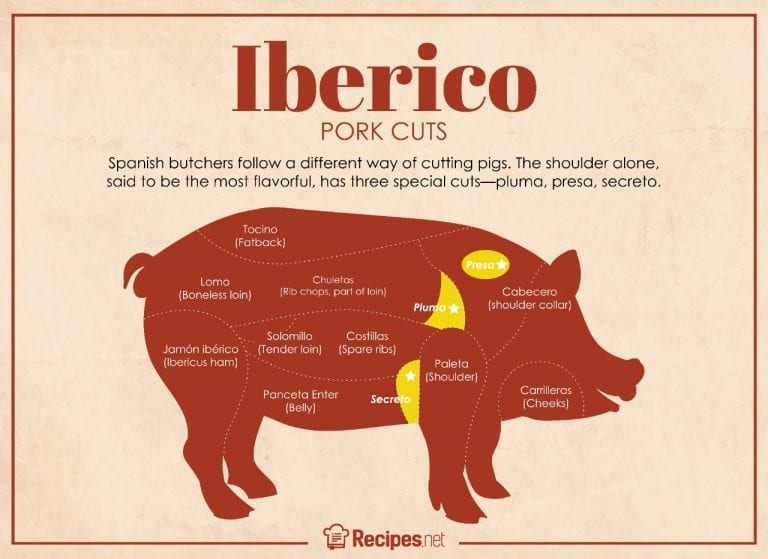 Iberico Pork: Why It's So Expensive & All About The Cuts - Recipes.net