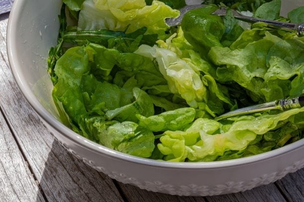Butter Lettuce: Everything You Need to Know About This Leafy Green