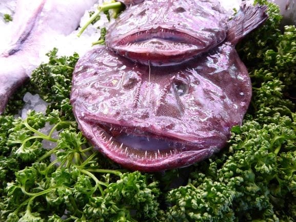 Monkfish: The Tasty Monster Fish You Should Cook - Recipes.net