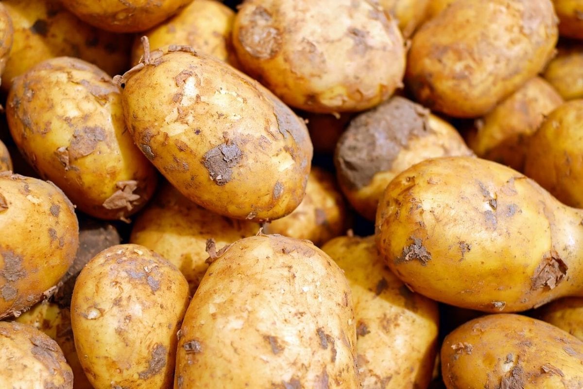 How Long Do Potatoes Last? 5 Easy Ways To Store Them | Recipes.net
