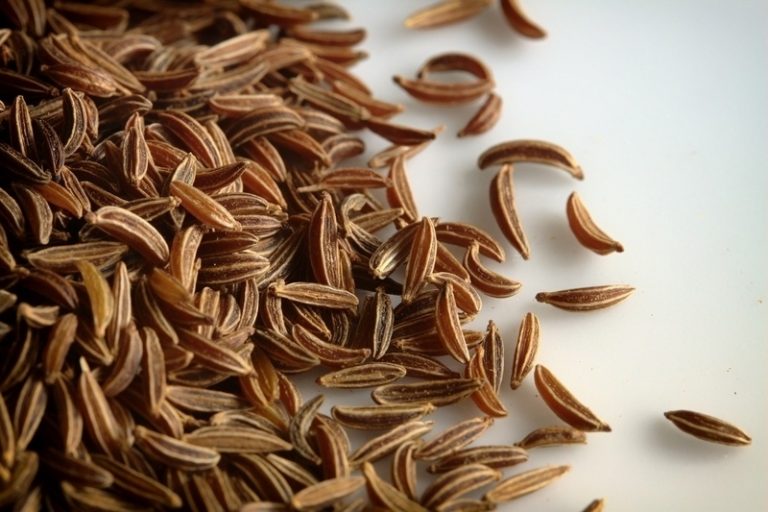 11 Cumin Substitute Choices To Use and Recipes You Can Try With Them