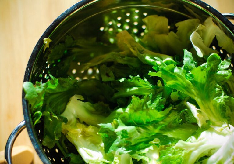 What Is Escarole and How Is It Used In Cooking? - Recipes.net