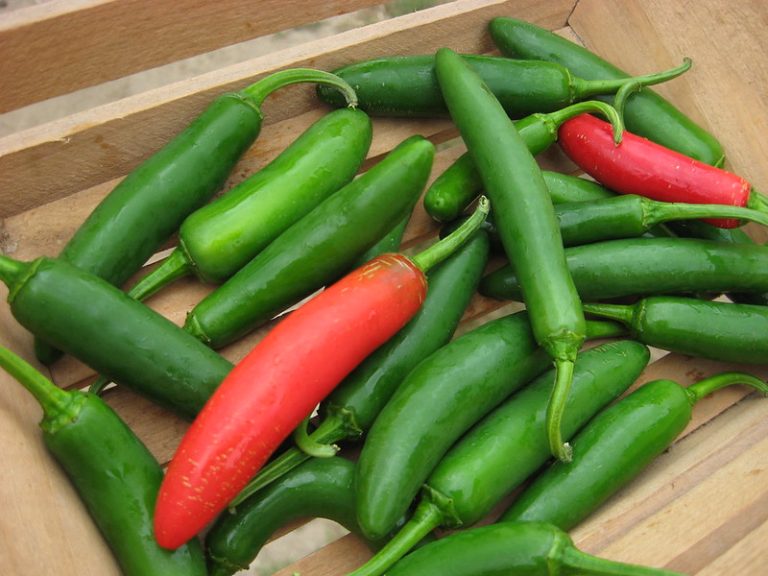 Serrano Pepper: How Hot Is It and How to Use It in Cooking - Recipes.net