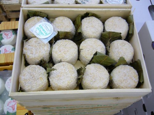 30 Different Types of Cheese, Explained - Recipes.net