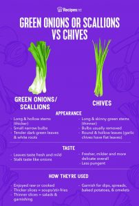 Chives vs Green Onions vs Scallions: What's the Difference? - Recipes.net
