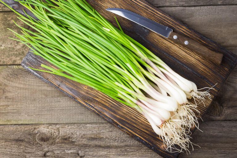 Chives vs Green Onions vs Scallions: What's the Difference? - Recipes.net