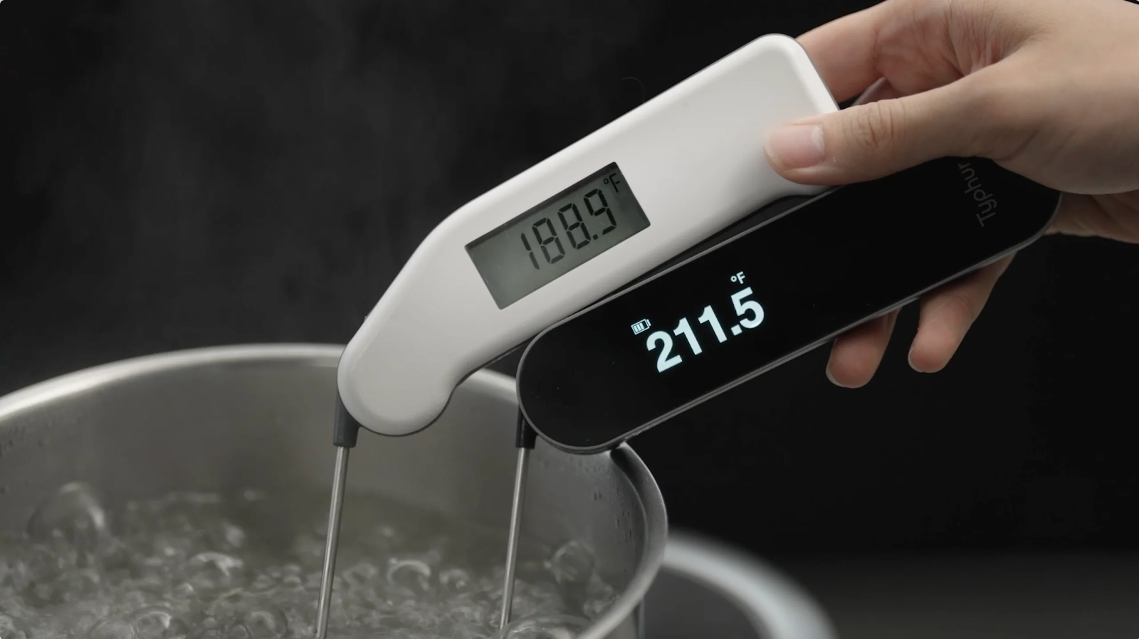 Thermapen ONE VS InstaProbe Showdown | Who Is The Winner? - Recipes.net