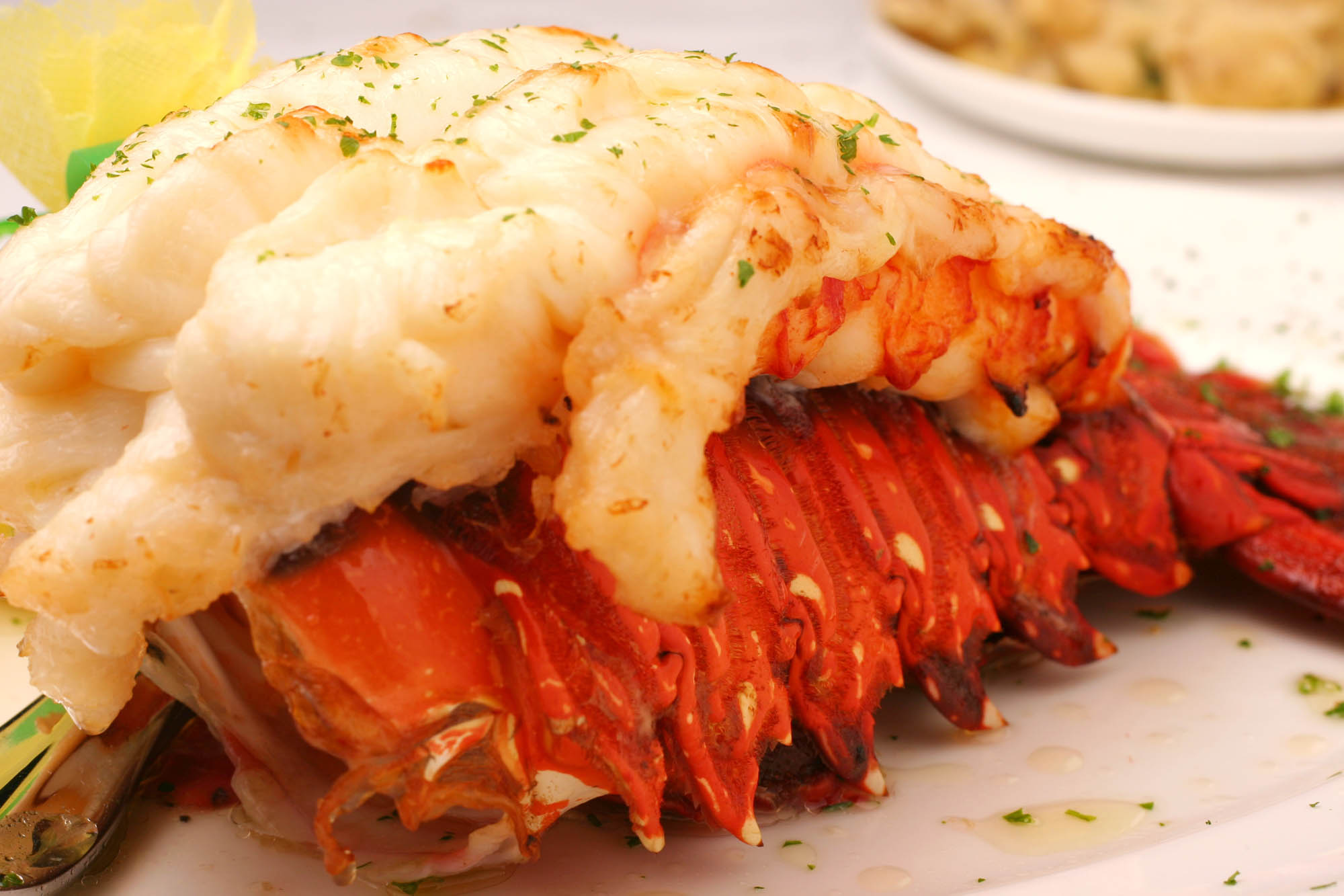 How To Boil Frozen Lobster Tails - Recipes.net