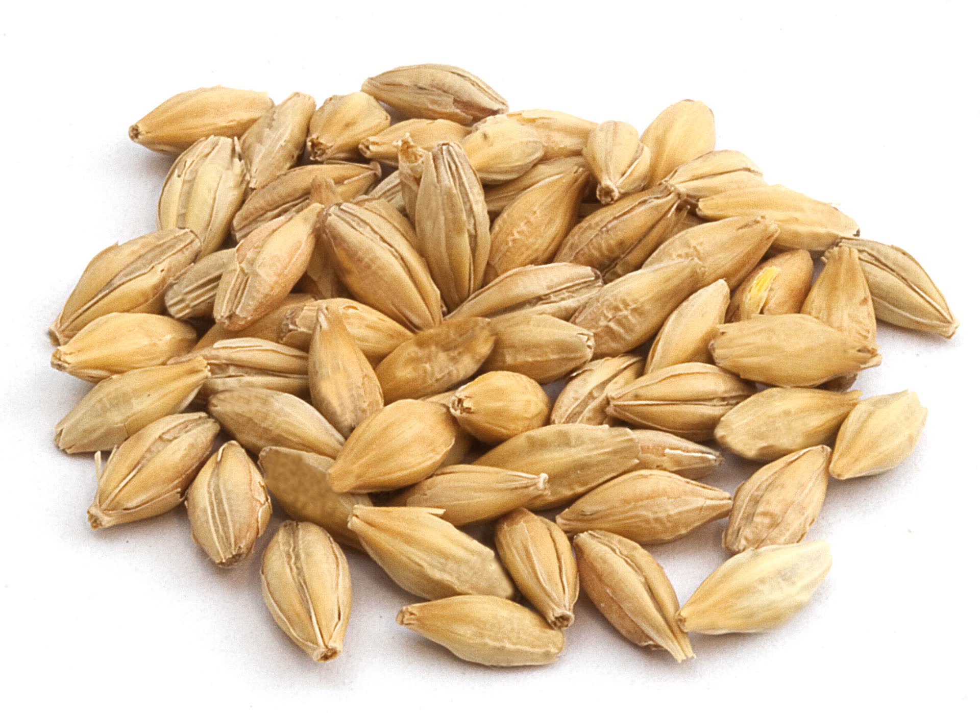 Belgian Malted Waffles Recipe - Recipes.net